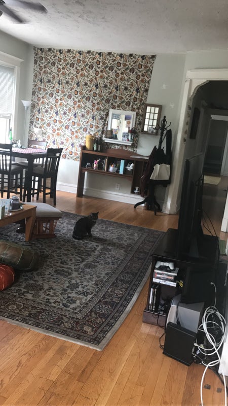 'Lovely room in Logan ' Room to Rent from SpareRoom