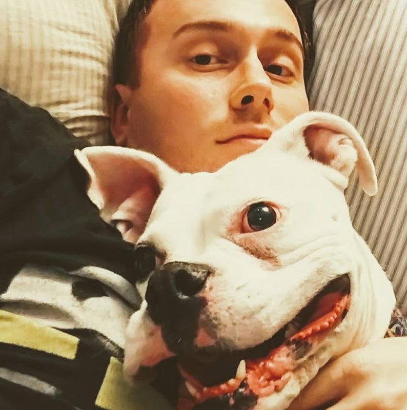 '30 Something Artist w/ sweet boxer doggy' Roommate from SpareRoom