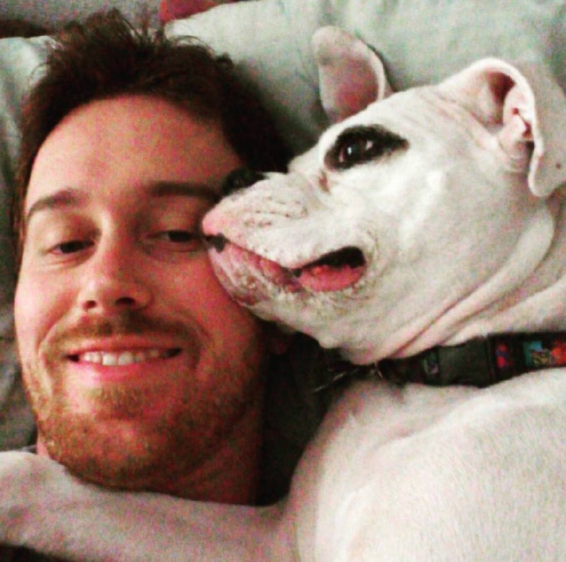 '30 Something Artist w/ sweet boxer doggy' Roommate from SpareRoom