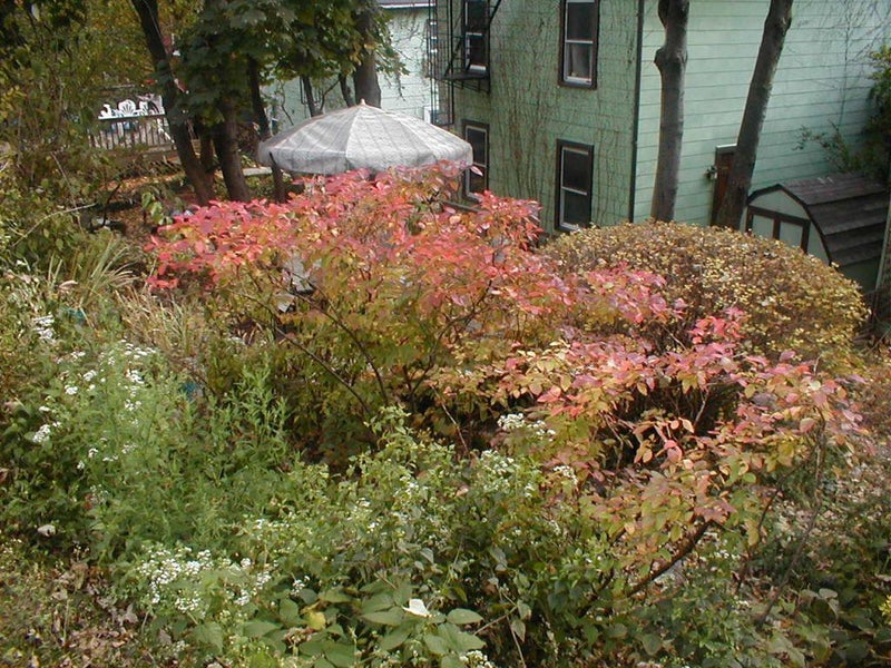 'Ganas community' Room to Rent from SpareRoom