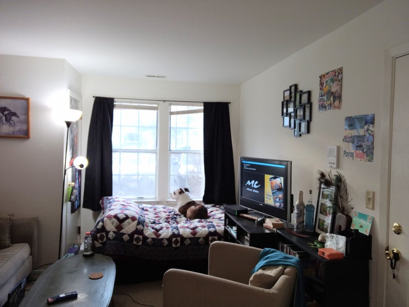 'Need Roommate ASAP' Room to Rent from SpareRoom