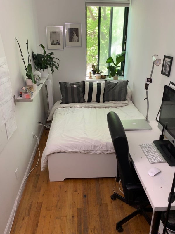 'Sunny room (Females only) 1yr lease July 1 move-in' Room to Rent from ...