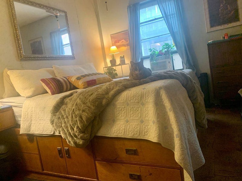 'Roommate needed ' Room to Rent from SpareRoom