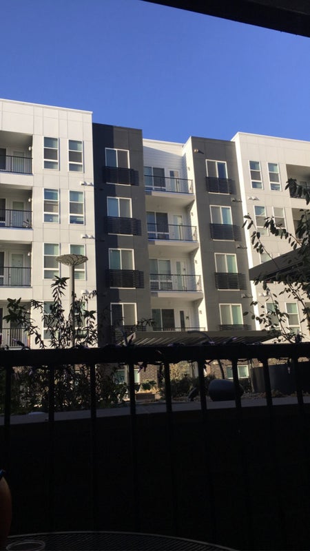 'Downtown Student Apartment-CoLab' Room to Rent from SpareRoom