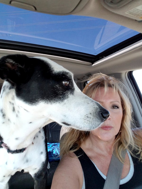 'I am a kind, positive, easy going woman.' Roommate from SpareRoom