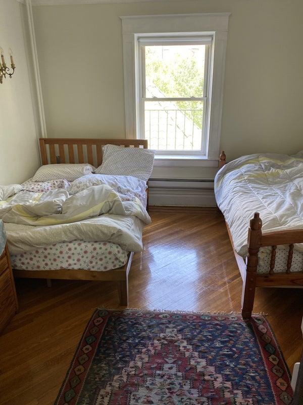 'Cosy paradise ' Room to Rent from SpareRoom
