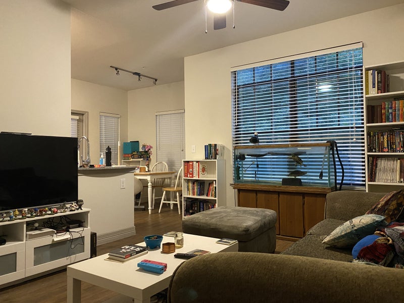'Beautiful, Modern Room In Central Austin' Room to Rent from SpareRoom