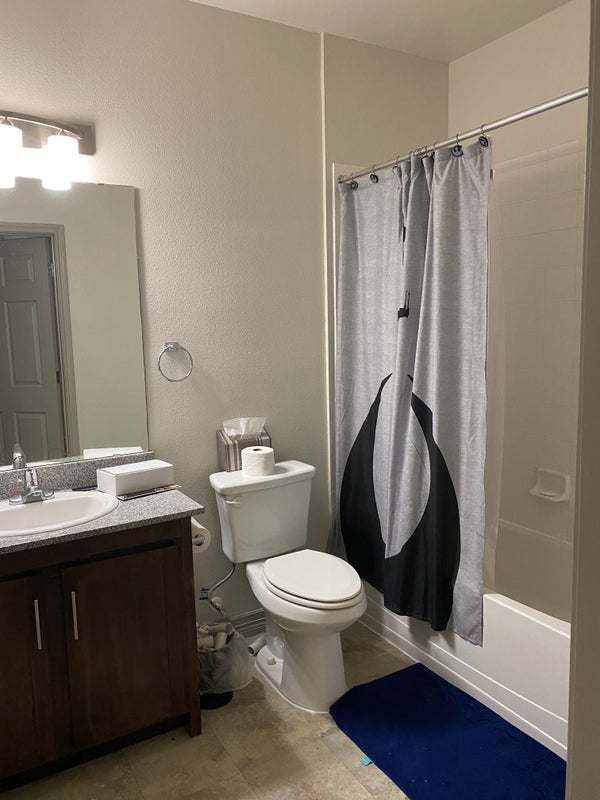 'Beautiful, Modern Room In Central Austin' Room to Rent from SpareRoom