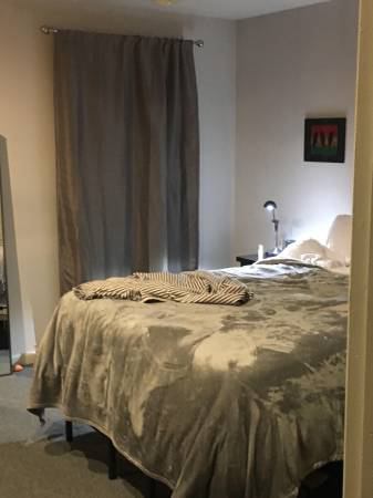 'Spacious, sunny, beautiful room for rent ' Room to Rent from SpareRoom