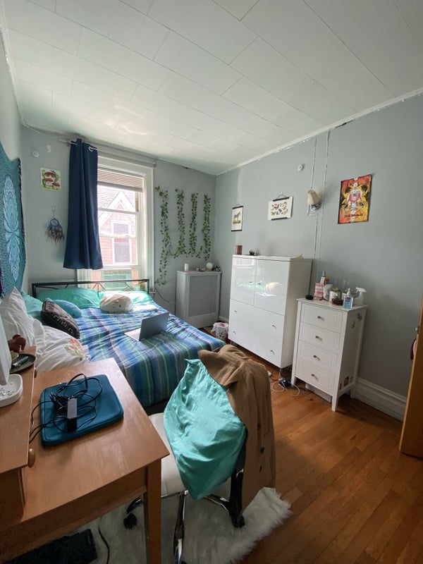 'Medium Sized Room in Spacious Astoria Apartment' Room to Rent from ...