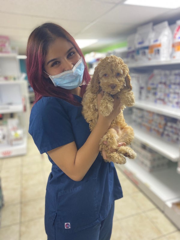 '21 y/o Female Vet tech looking for apt. ' Roommate from SpareRoom