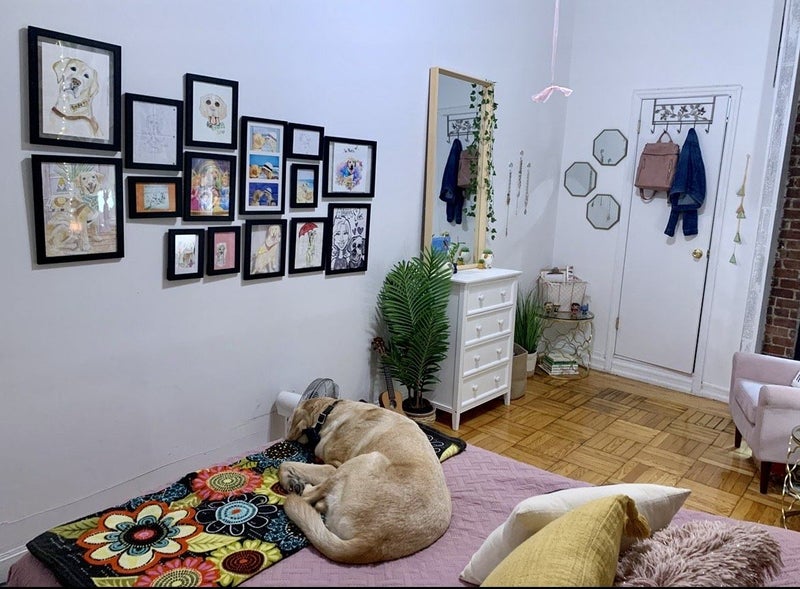 'Studio-sized room in shared apartment ' Room to Rent from SpareRoom