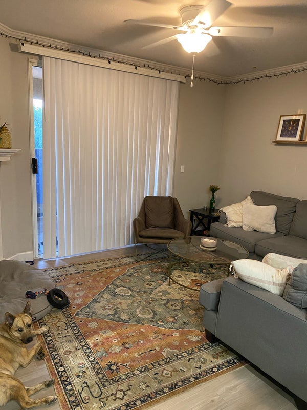 'Room for rent in cute apartment!' Room to Rent from SpareRoom