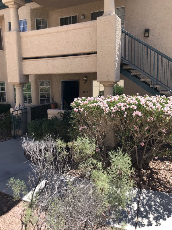 'Large room with big closet in modern condo ' Room to Rent from SpareRoom