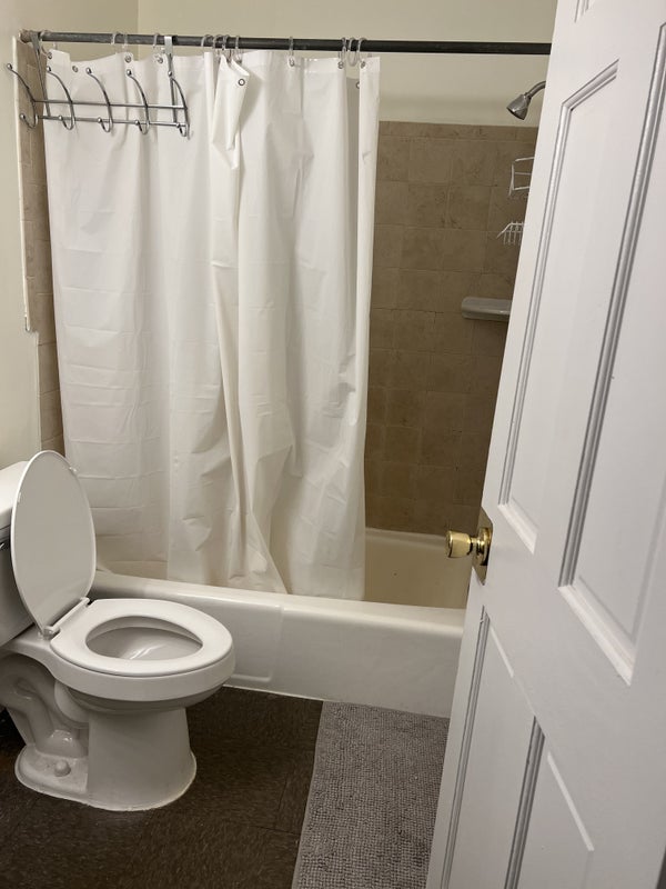 1 Great Bedroom 1 Great Bathroom 1 Great Home Room To Rent From 1-great-bedroom-1-great-bathroom-1-great-home-room-to-rent-from