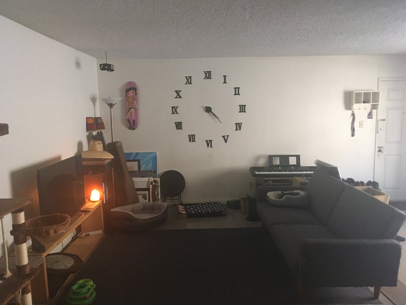 'Small Room for Rent' Room to Rent from SpareRoom