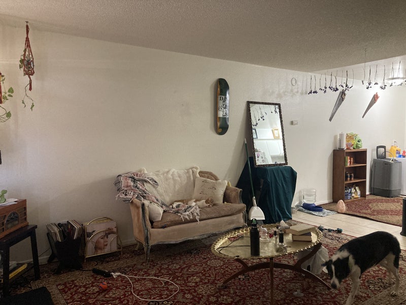 'Roommate wanted! ' Room to Rent from SpareRoom