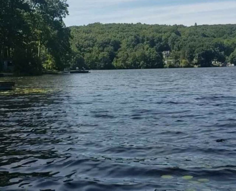 'Small Private lake cottage in a very secure' Room to Rent from SpareRoom