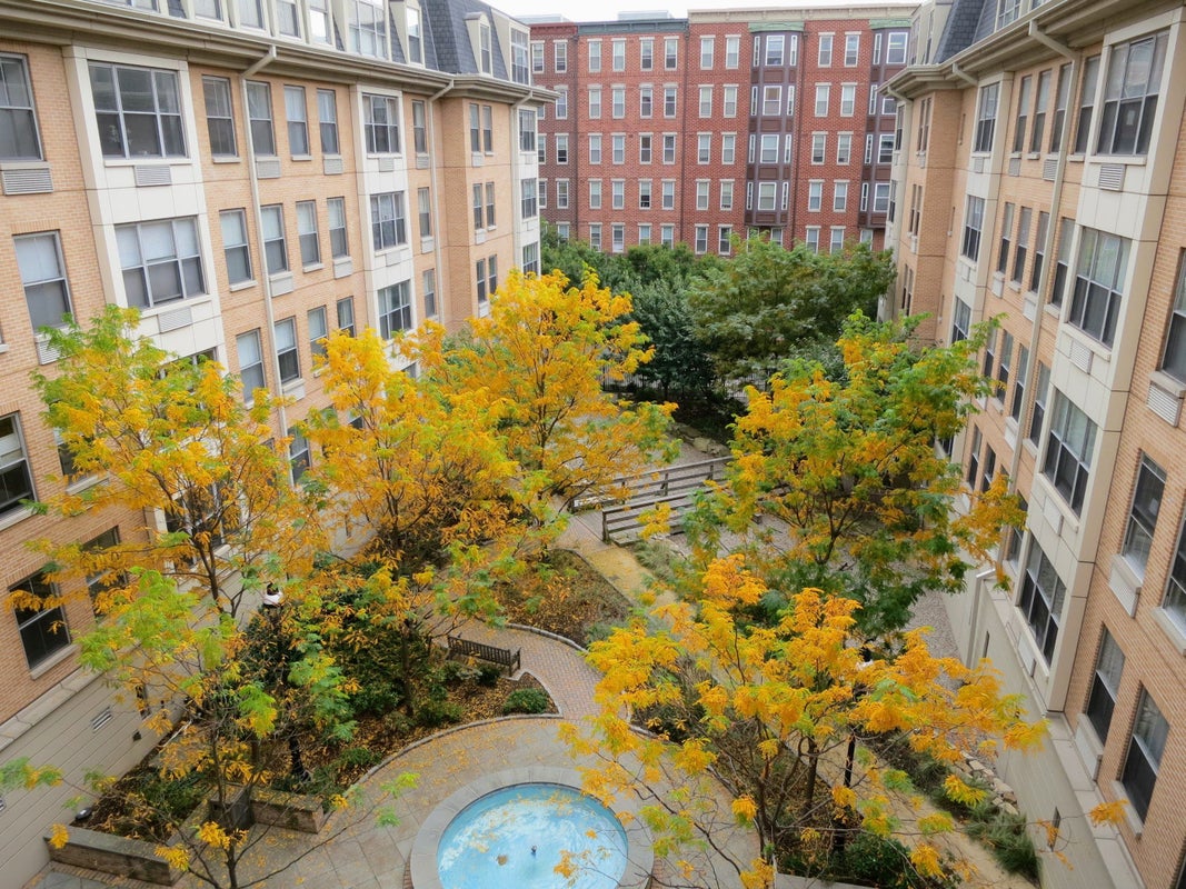  1 BR 1 BA private Bathroom In Waterfront JC Room To Rent From