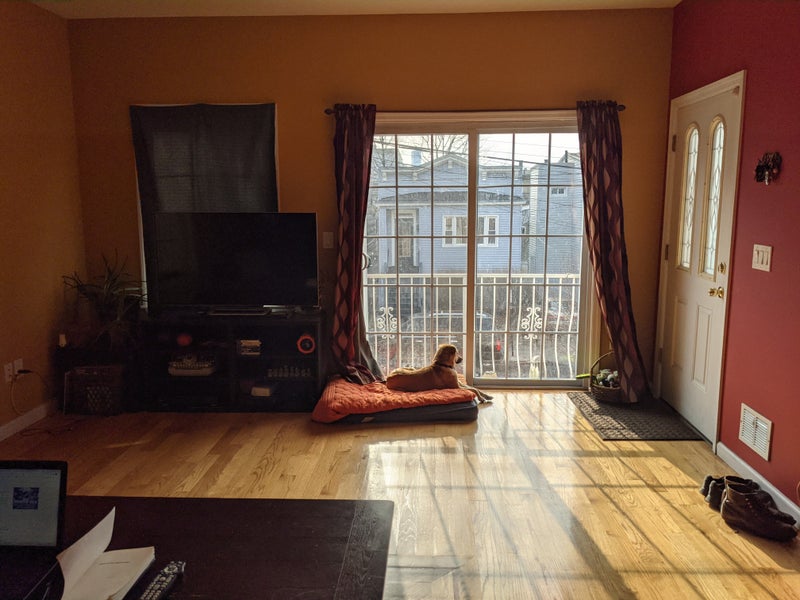 'Looking for Renter for Beautiful House in JC' Room to Rent from SpareRoom