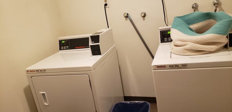 'Clean room for rent ' Room to Rent from SpareRoom