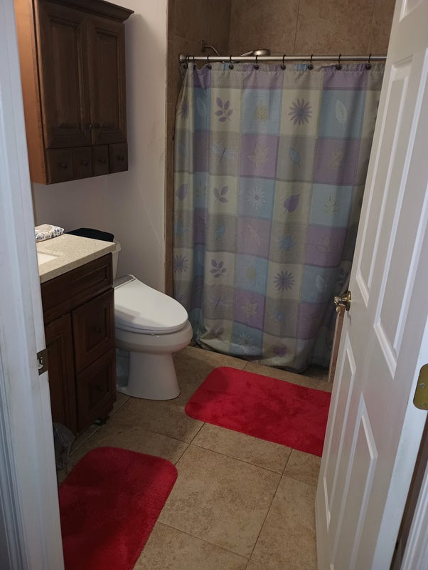 'Single, private room ' Room to Rent from SpareRoom