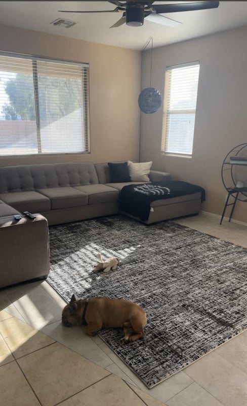'Roommate Wanted ' Room to Rent from SpareRoom