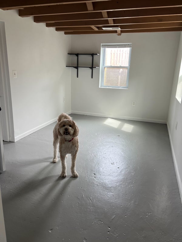 'Lower Level Room with Own Bathroom!' Room to Rent from SpareRoom