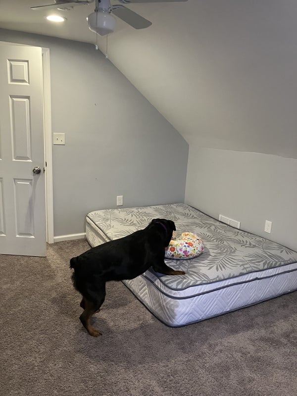 'Looking for a roommate to offset mortgage ' Room to Rent from SpareRoom