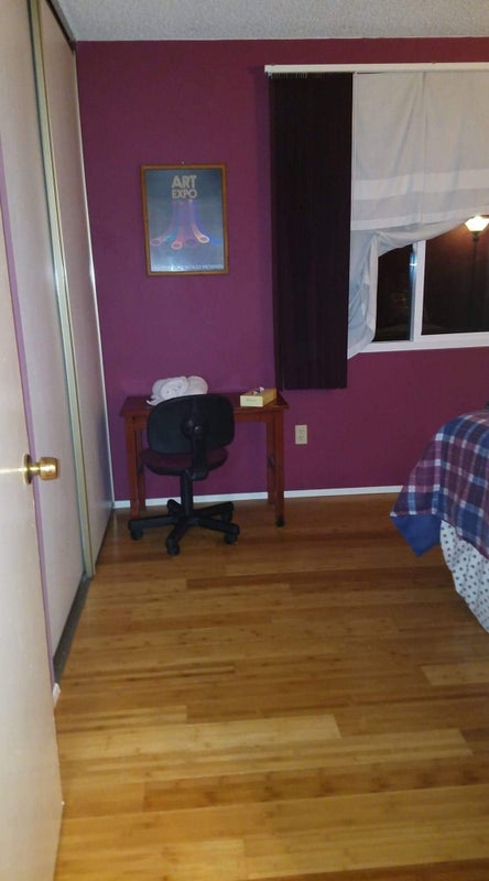 'Peaceful pleasant room ' Room to Rent from SpareRoom
