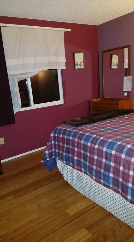 'Peaceful pleasant room ' Room to Rent from SpareRoom