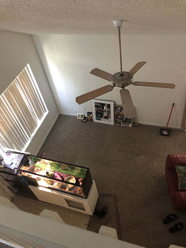 'Looking for a Roomie' Room to Rent from SpareRoom