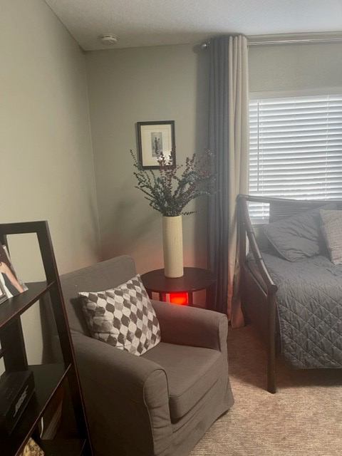 'Nice, clean, airy house' Room to Rent from SpareRoom