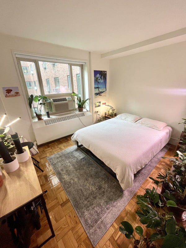 'Large Bright Room w/ Chill Clean Roommate' Room to Rent from SpareRoom