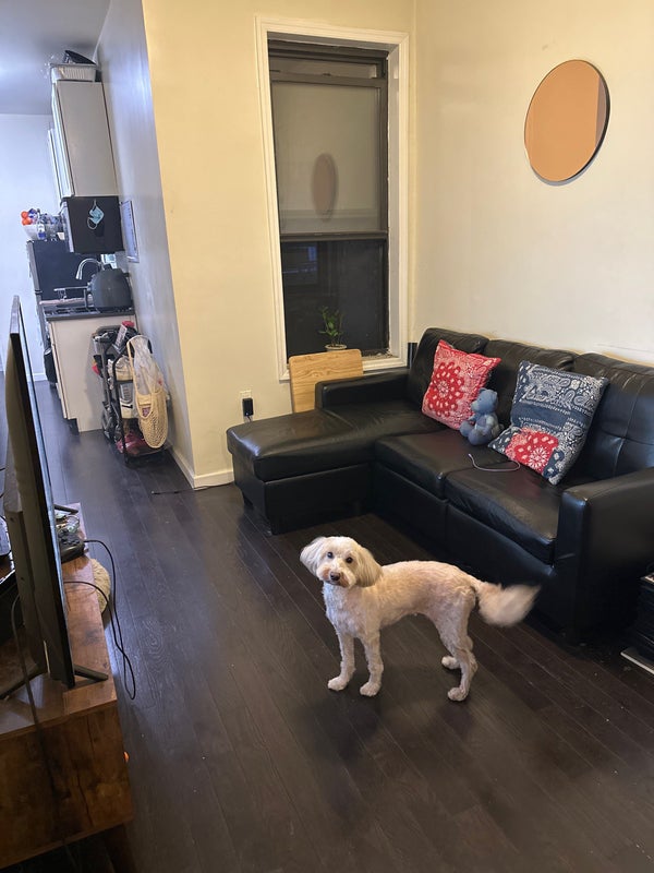 'Searching for roommate ' Room to Rent from SpareRoom
