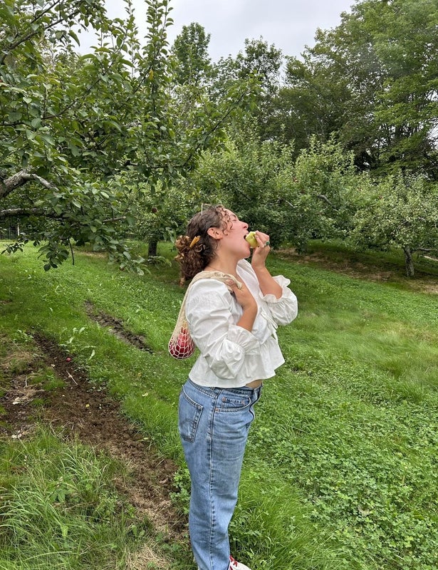 'Looking for room rental ' Roommate from SpareRoom