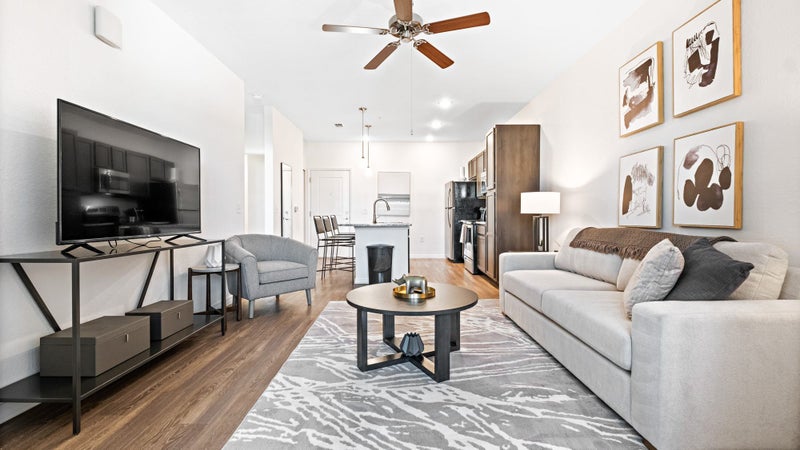 'Furnished Apartment For Rent In Tampa' Room to Rent from SpareRoom