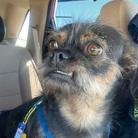 'Room wanted in Merced County, CA' Roommate from SpareRoom