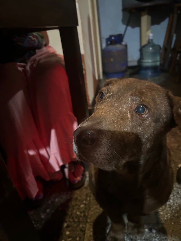 'Im an adventurous, outgoing guy who loves to ...' Roommate from SpareRoom