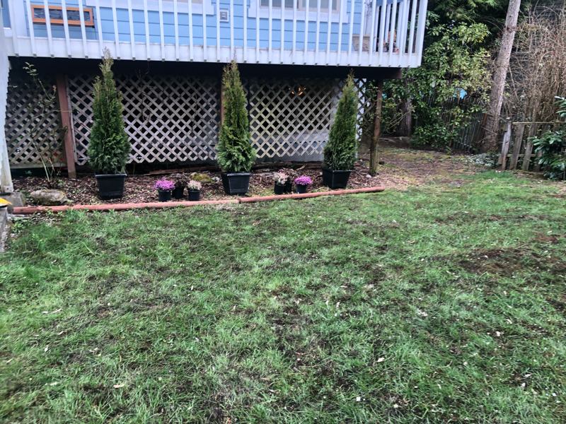 'Cozy Newly Renovated 1 Bed 1 Bath Apartment In Pou' Room to Rent from ...