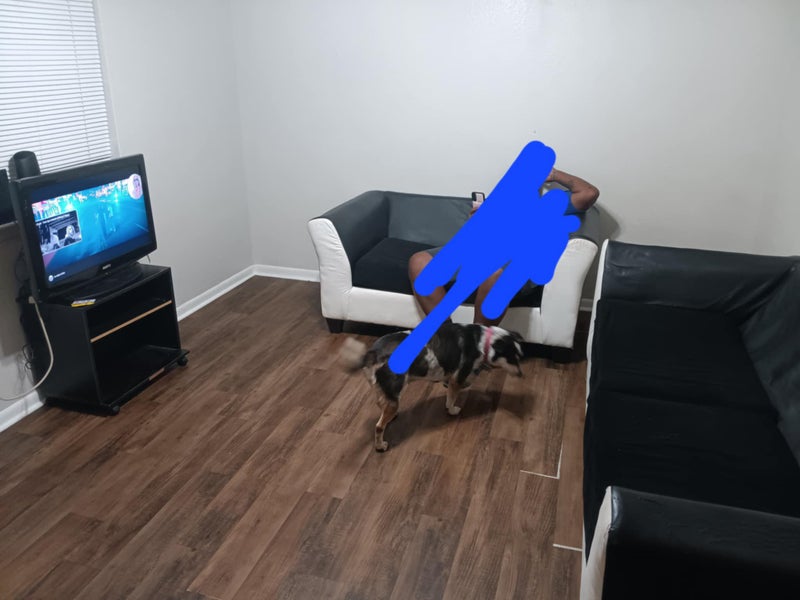 'Room for rent' Room to Rent from SpareRoom