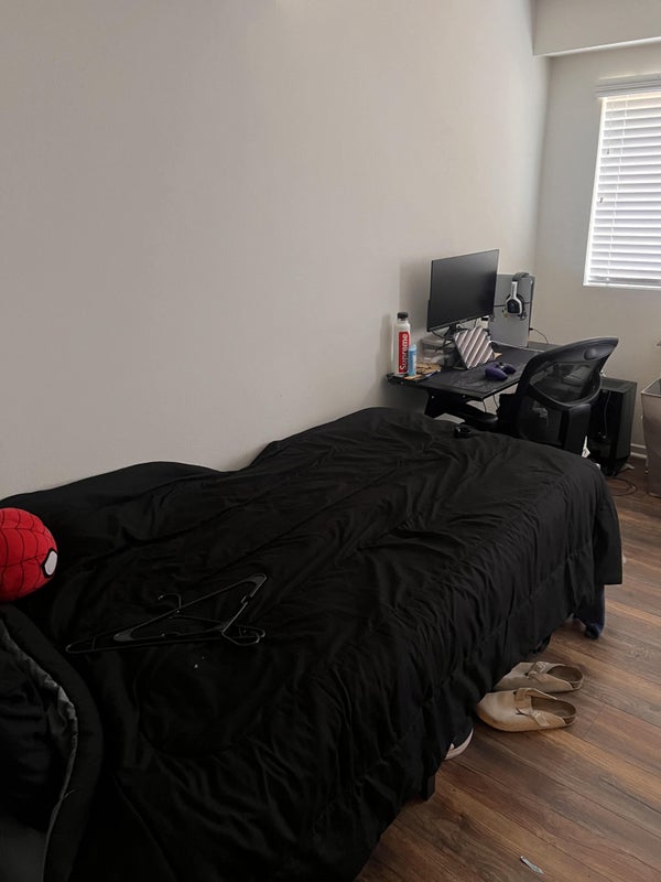 'Shared or Private Room for Rent for Student' Room to Rent from SpareRoom