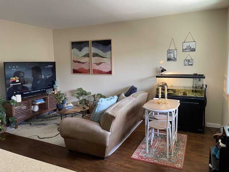 'Looking for a Roommate' Room to Rent from SpareRoom