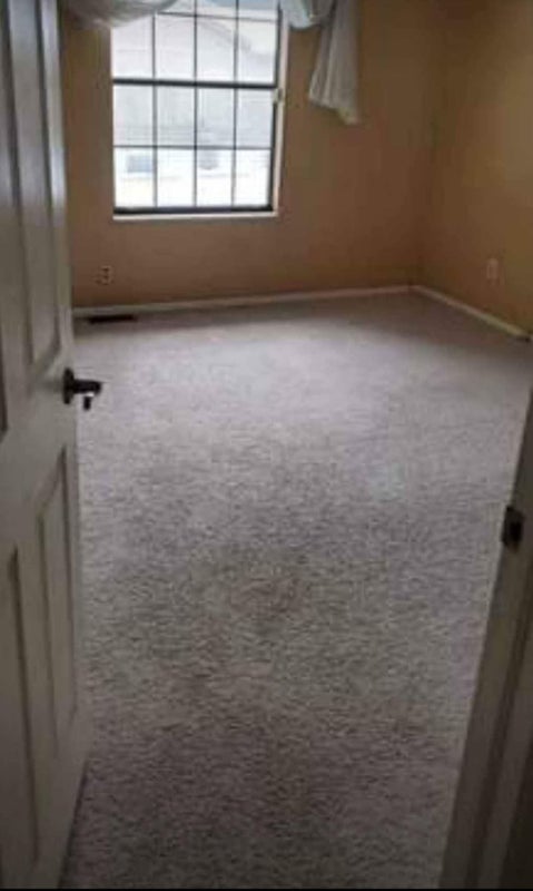 'Conscious Roommate Wanted' Room to Rent from SpareRoom
