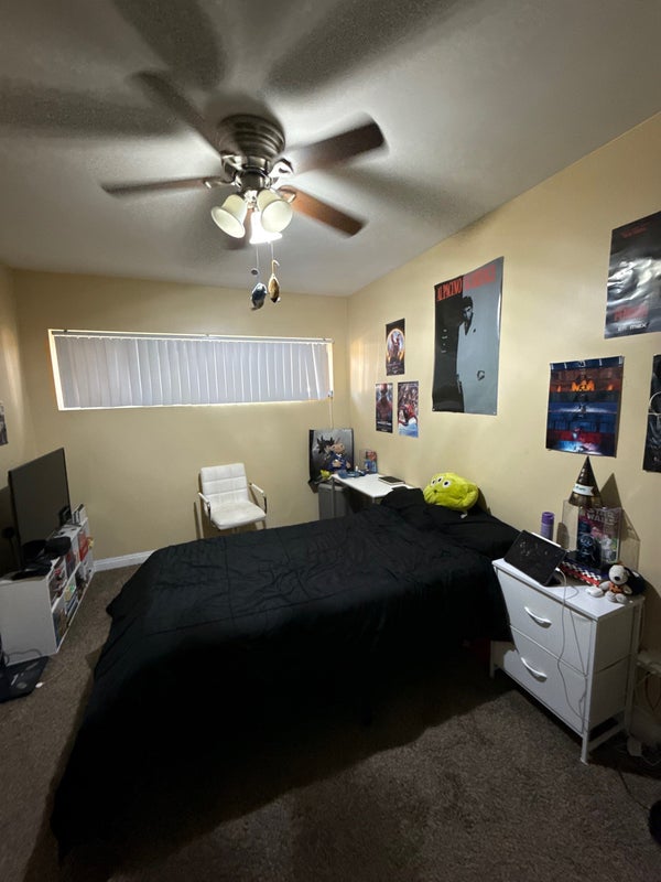 'Looking for a roommate ' Room to Rent from SpareRoom
