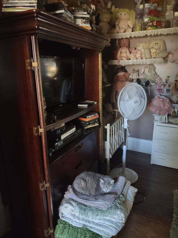 'Roommate wanted ' Room to Rent from SpareRoom