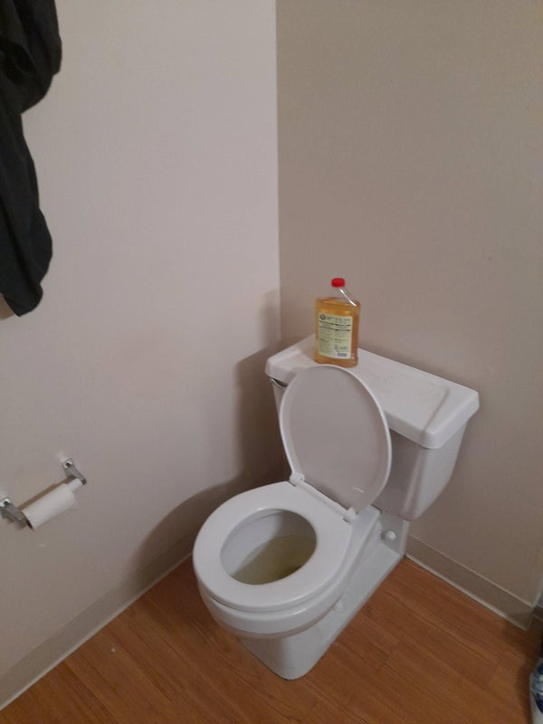 'Roommate ' Room to Rent from SpareRoom