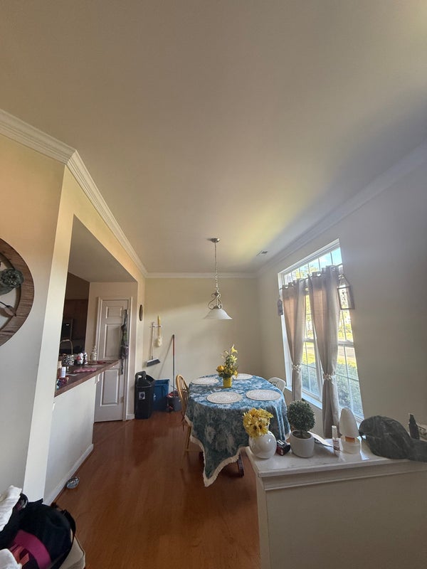 'Looking for a roommate!' Room to Rent from SpareRoom