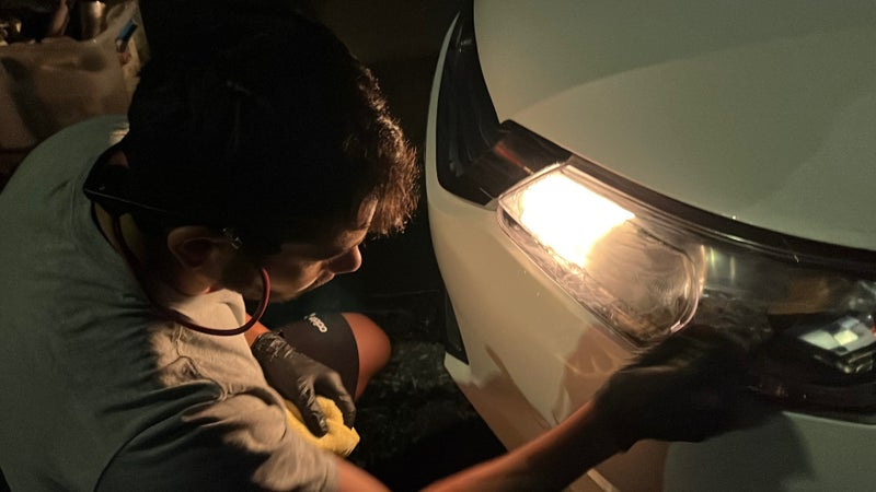 'Room wanted in NYC' Roommate from SpareRoom