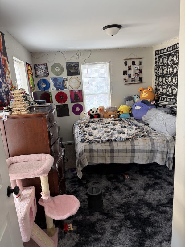 '1 Bedroom shared apartment ' Room to Rent from SpareRoom